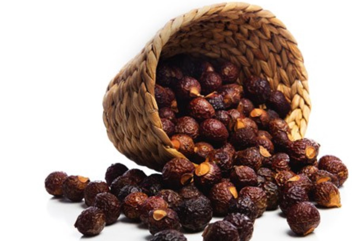 Par Indijas ziepju koka Ritha riekstiem - ERSAG Latvija